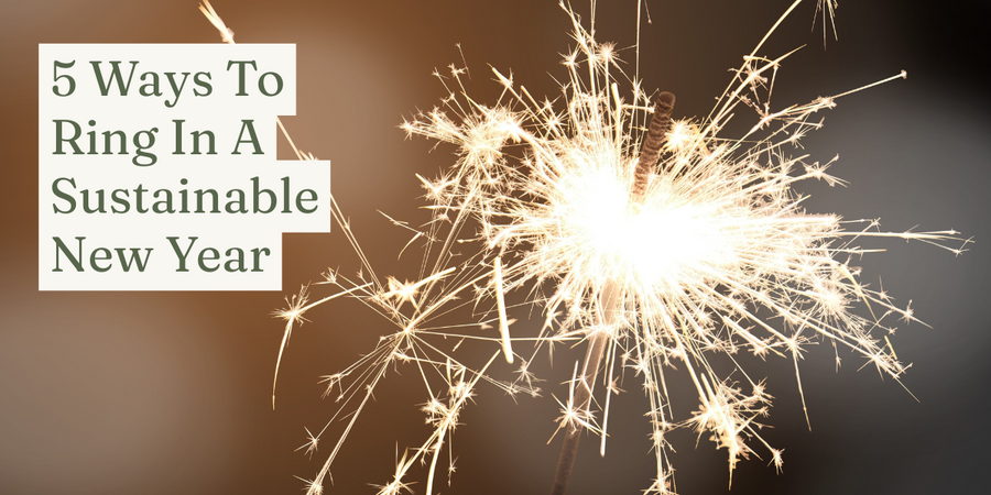 5 Ways to Ring In a Sustainable New Year – Reboot Eco